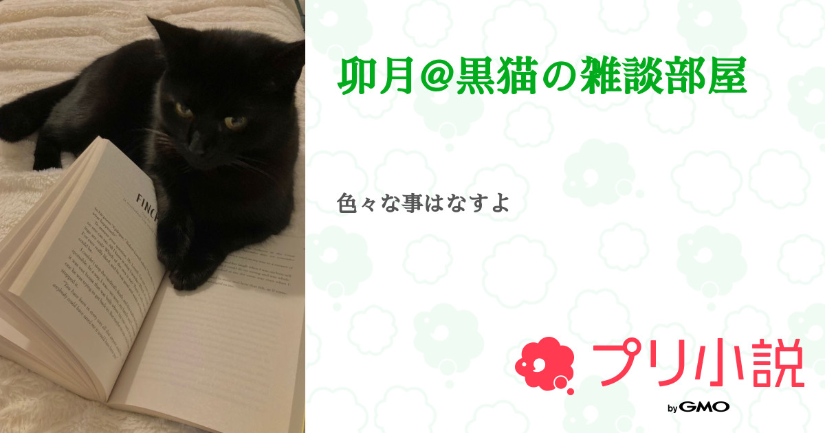 卯月黒猫の雑談部屋 全4話 【連載中】（ 卯 月 黒 猫 🐈‍⬛ ⋆🌙·̩͙‪⋆͛さんの小説） 無料スマホ夢小説ならプリ小説 Bygmo
